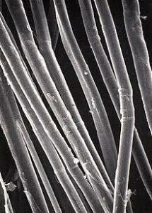 Flax: a natural fiber with advanced technical properties