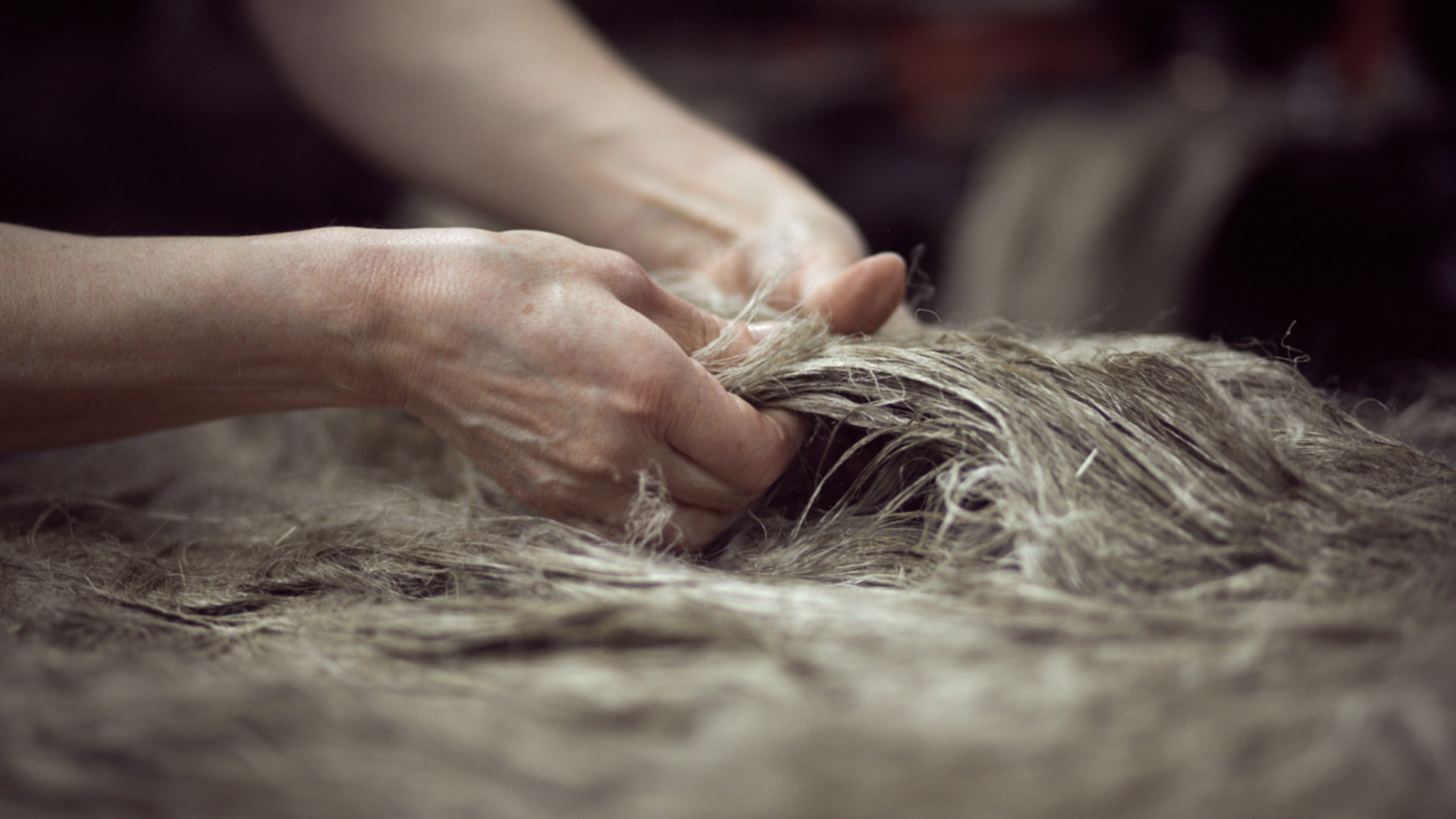Linen: a plant fiber with exceptional characteristics