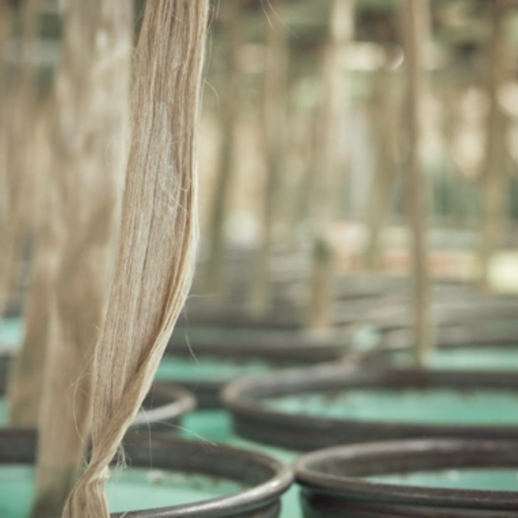 Le peignage, étape dans la production du fil de lin Safilin