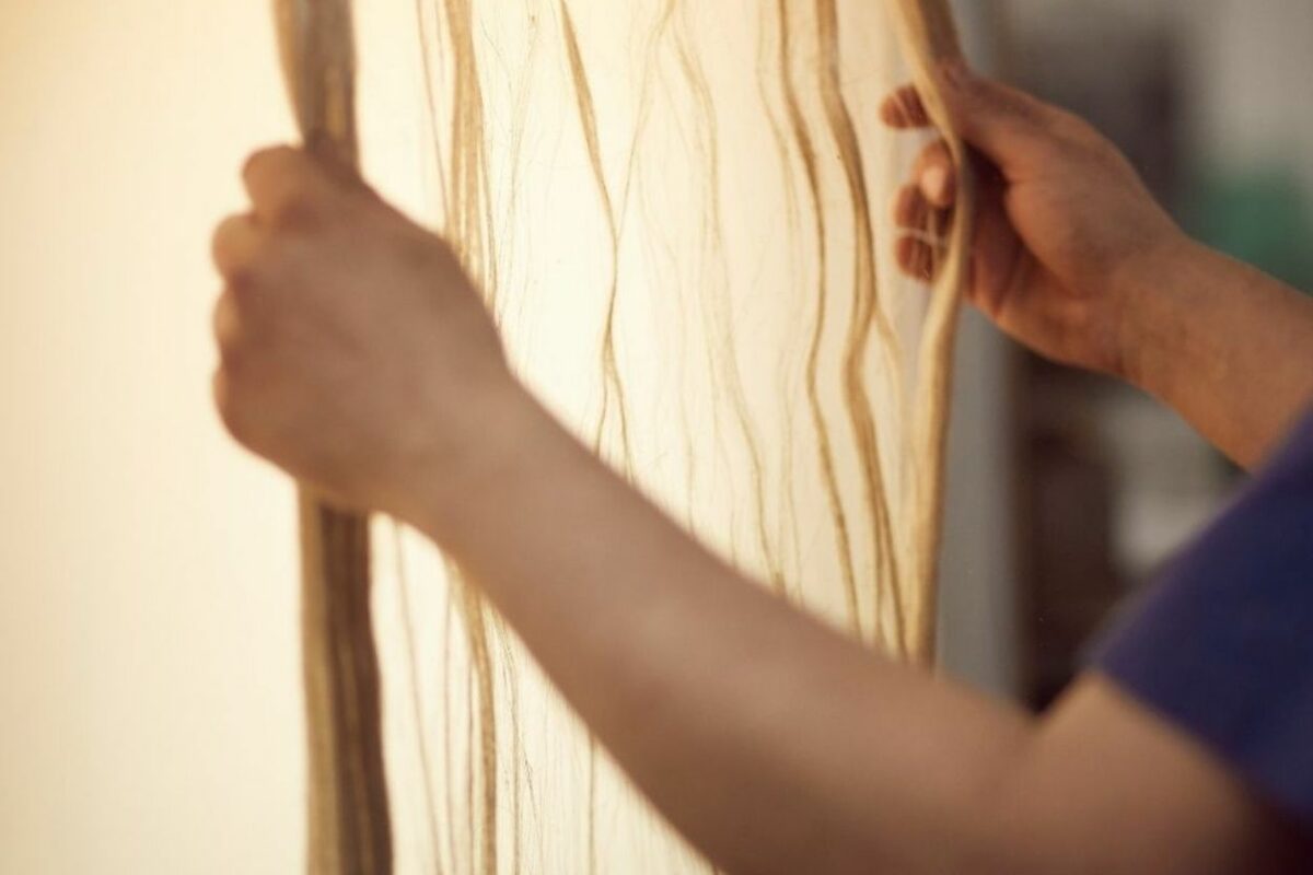 Combing stage of the Safilin flax yarn production