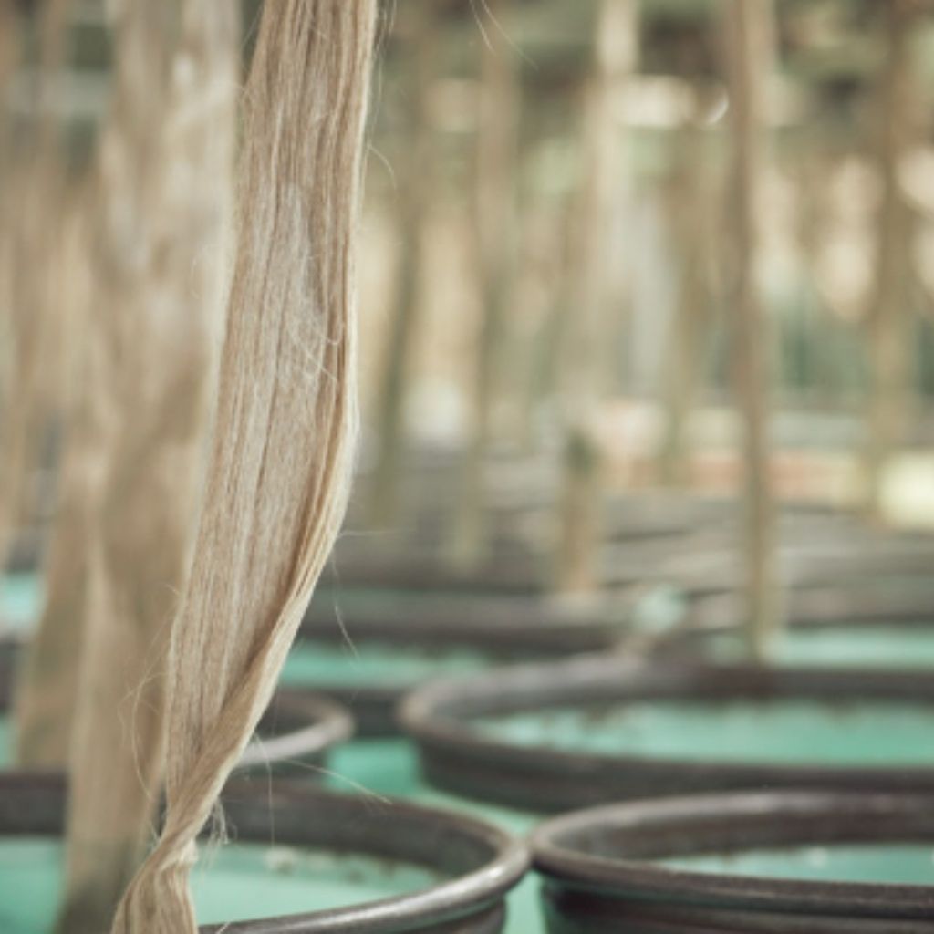 Combing stage of the Safilin flax yarn production