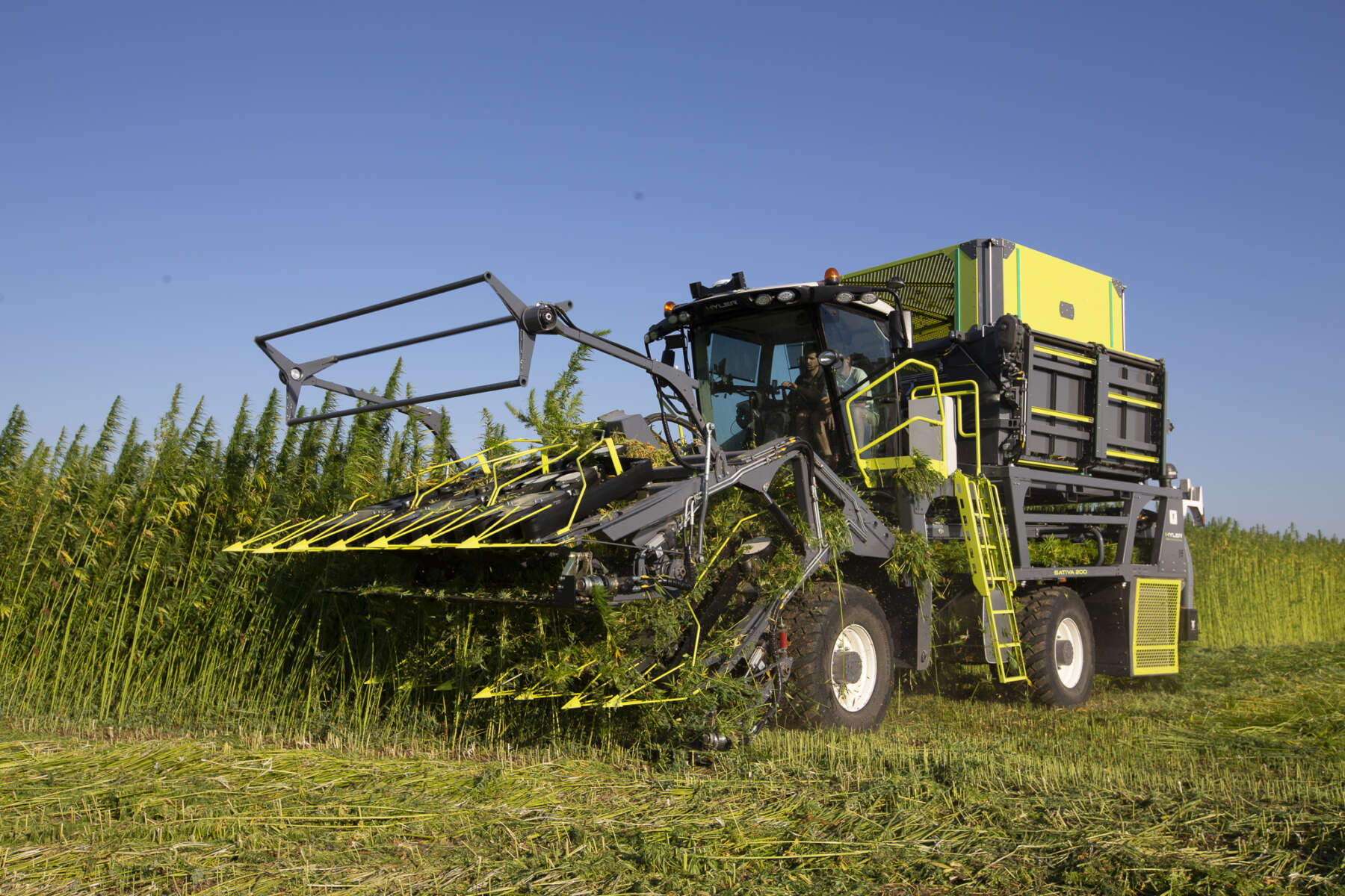 Textile hemp cultivation and processing